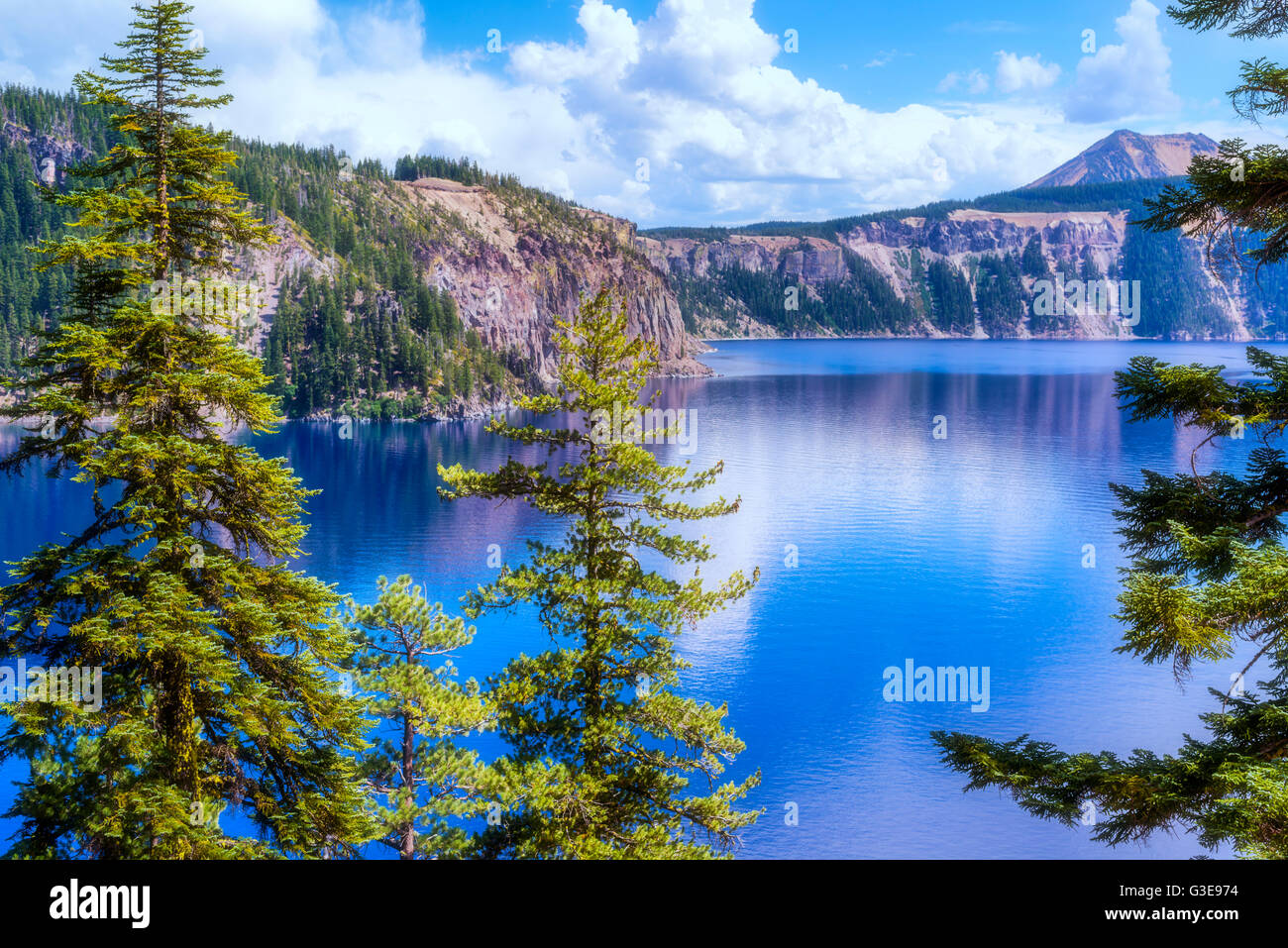 View of Crater Lake and pine trees. Crater Lake National Park, Oregon ...