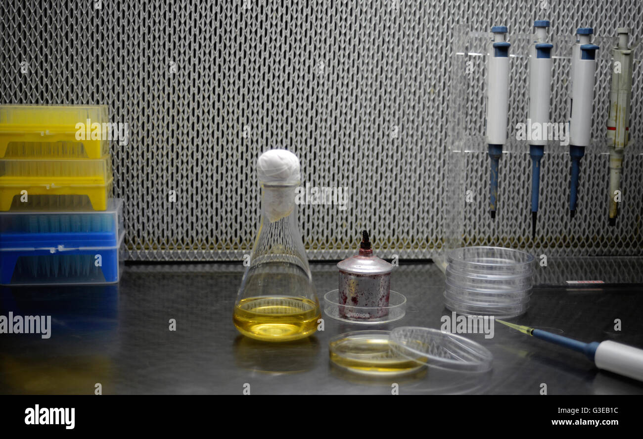 Flow Chemistry Equipment