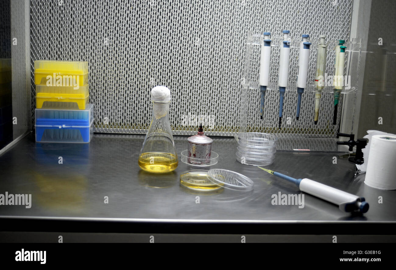 Laminar Flow-Laboratory Equipment Stock Photo - Alamy