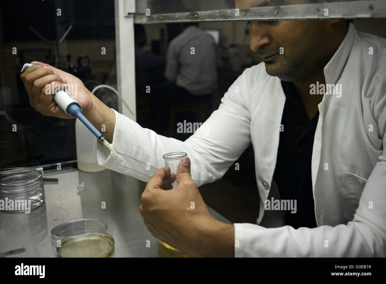 Lab research procedure Stock Photo - Alamy