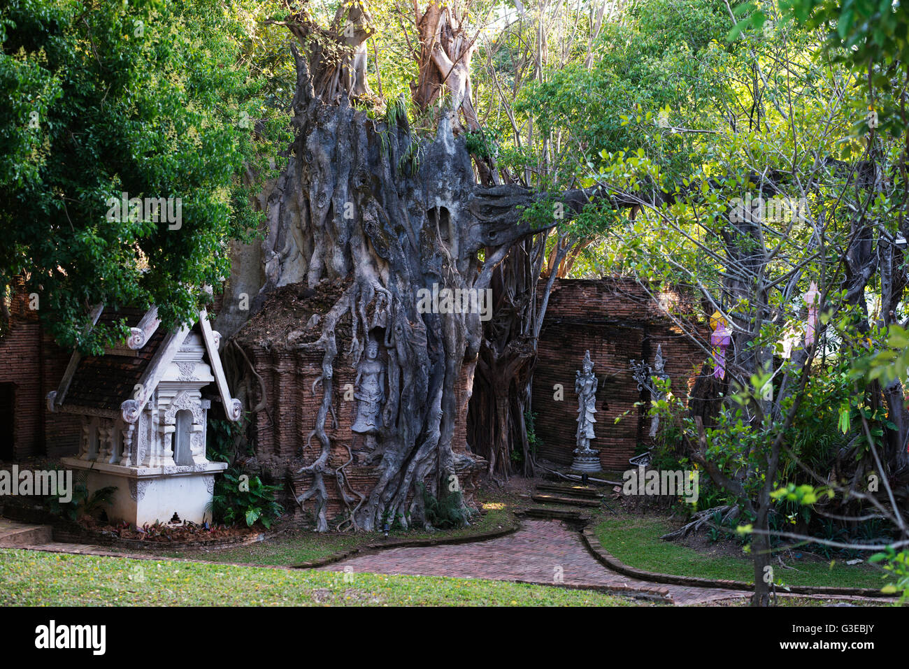 South East Asia, Thailand, Chiang Mai, The Dhara Dhevi luxury resort ...