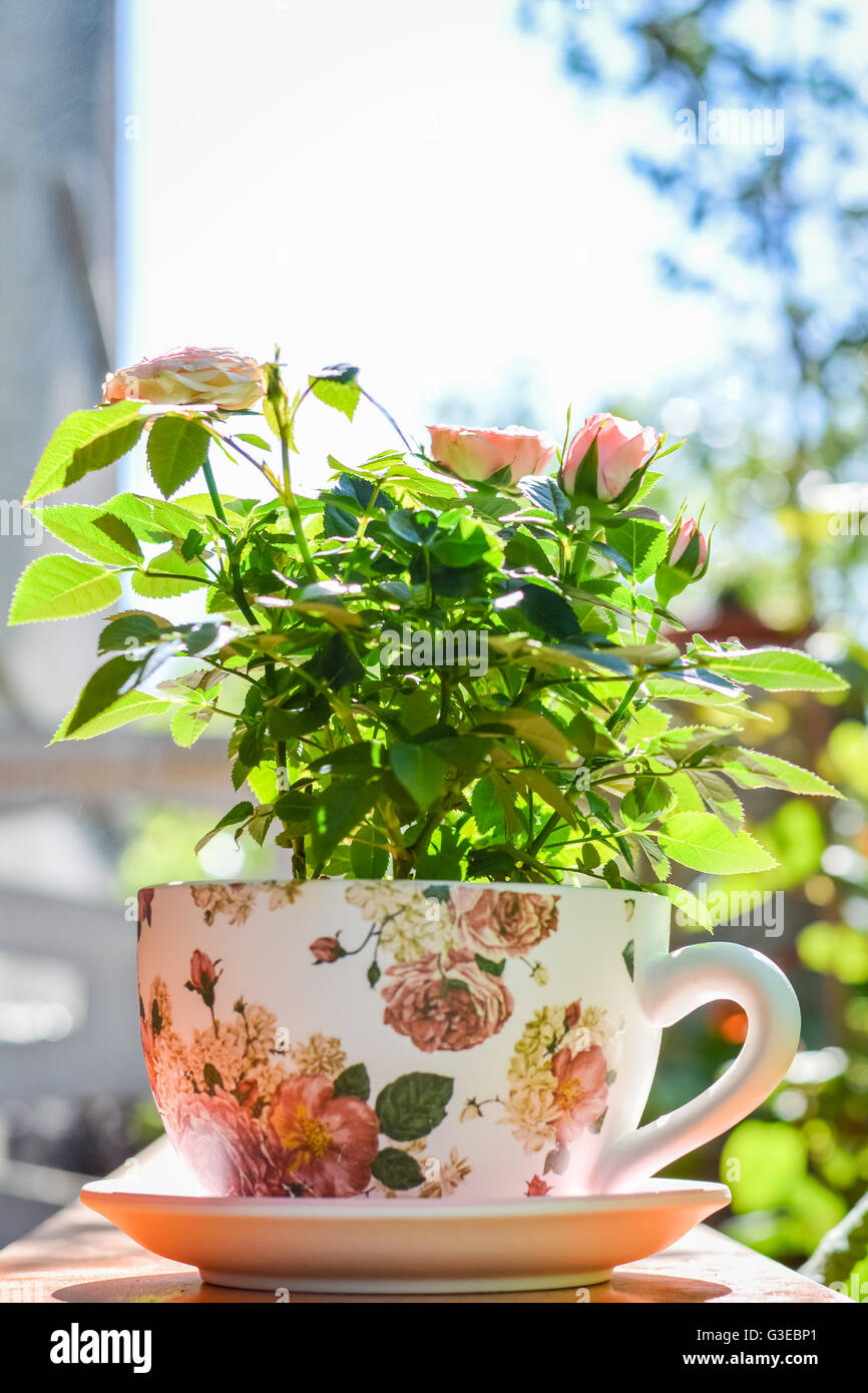 Cup shaped vase hi-res stock photography and images - Alamy