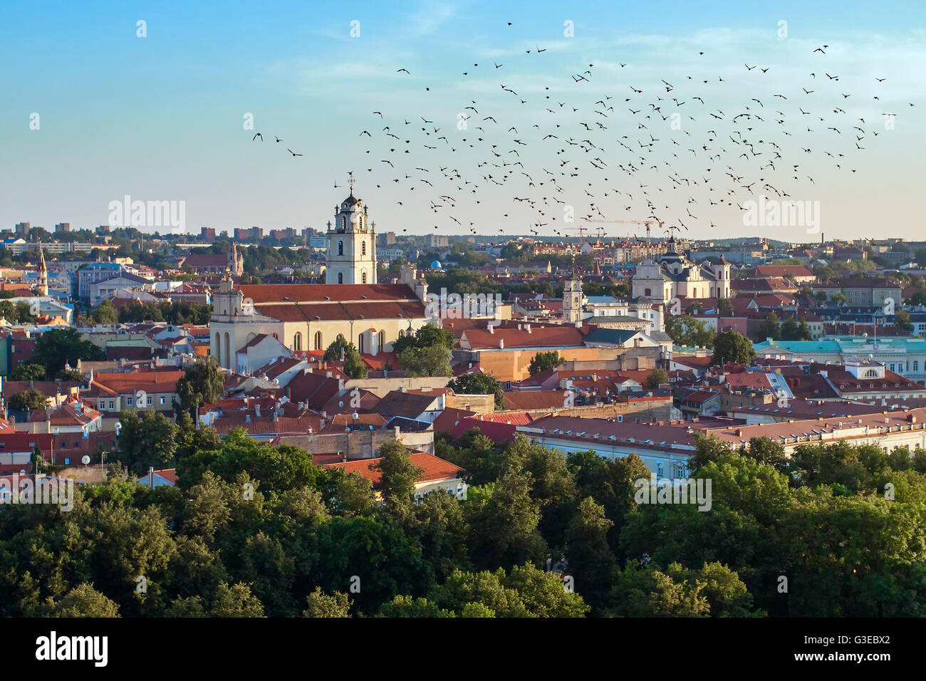 Summer in Vilnius, city center downtown view, Lithuania Stock Photo - Alamy