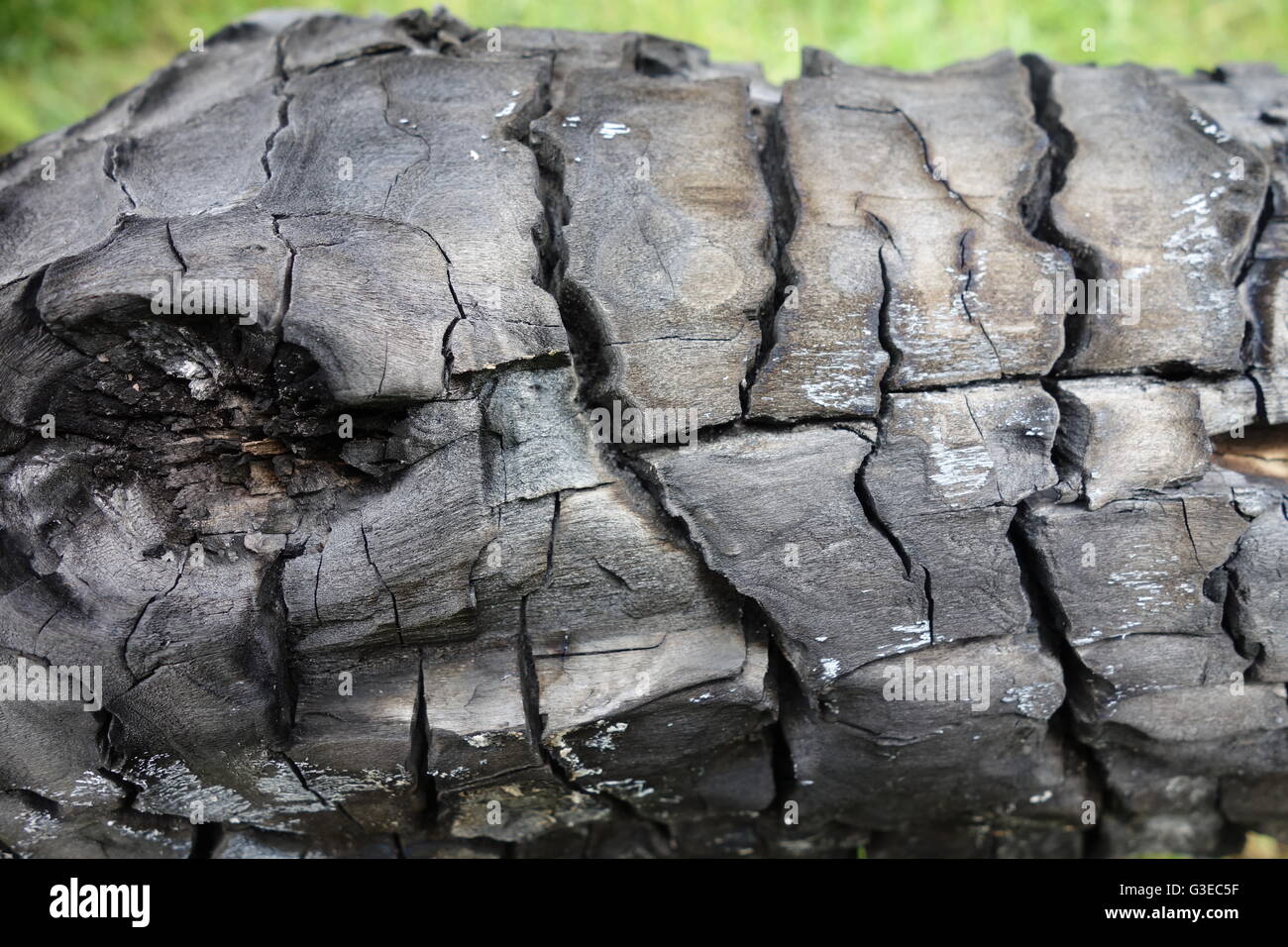Charred coal hi-res stock photography and images - Alamy