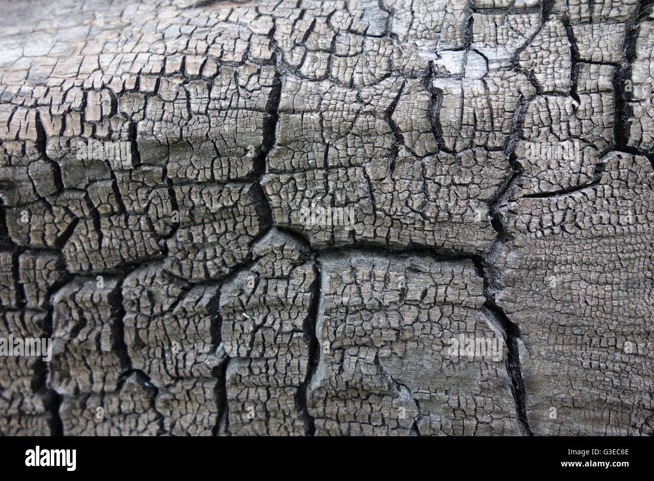Charred ash hi-res stock photography and images - Alamy