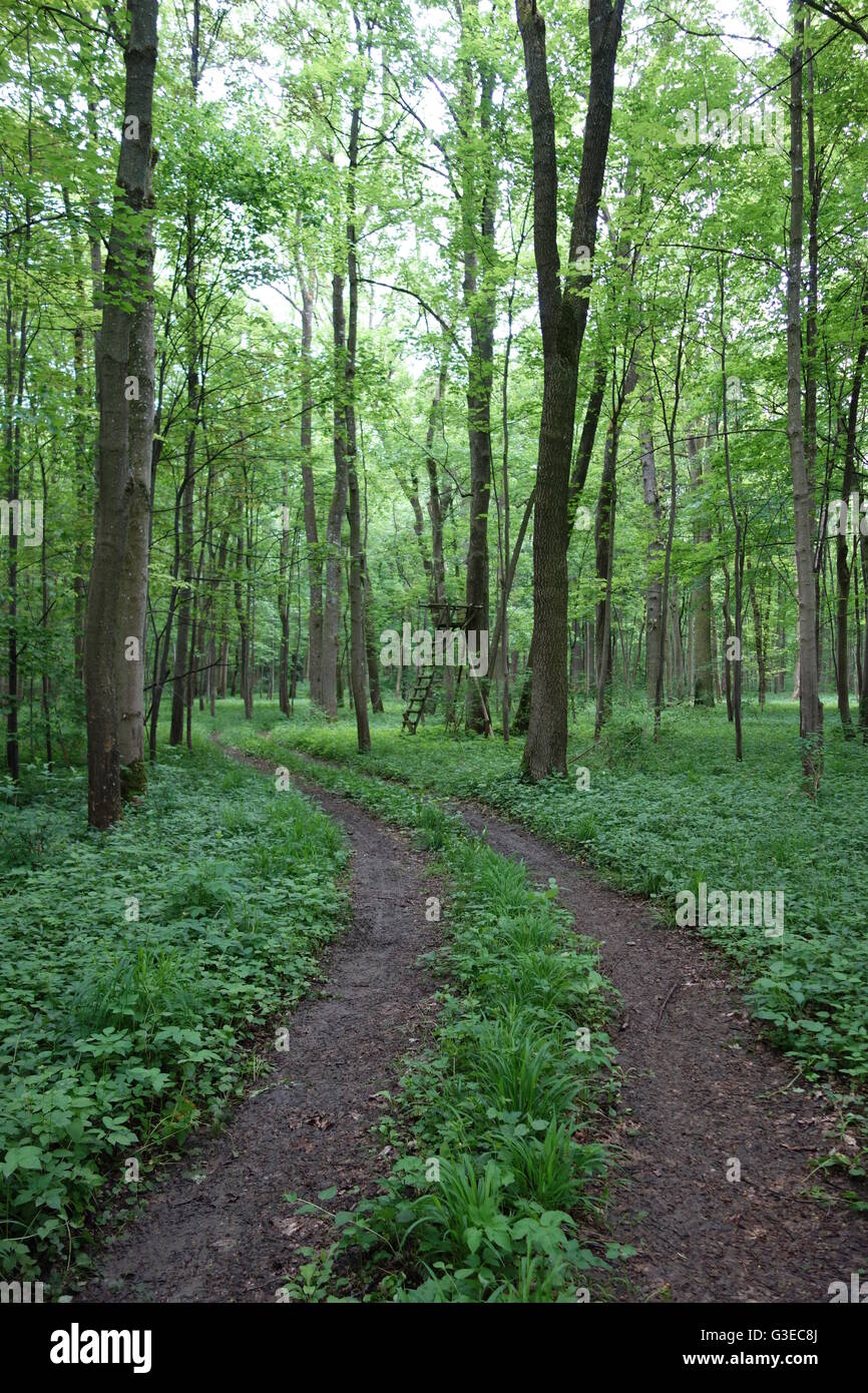 Way trough hi-res stock photography and images - Alamy