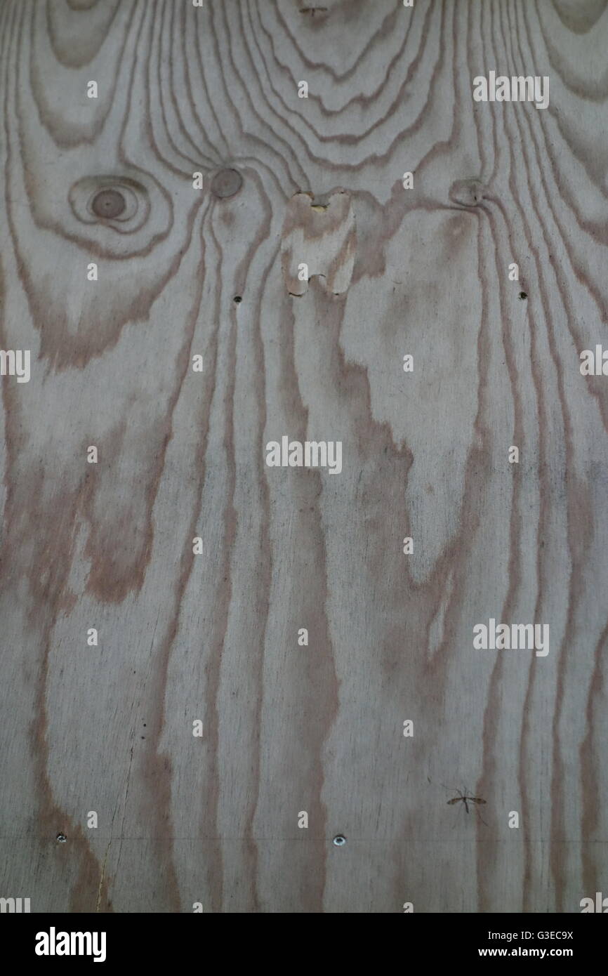 Wood grain pattern hi-res stock photography and images - Alamy