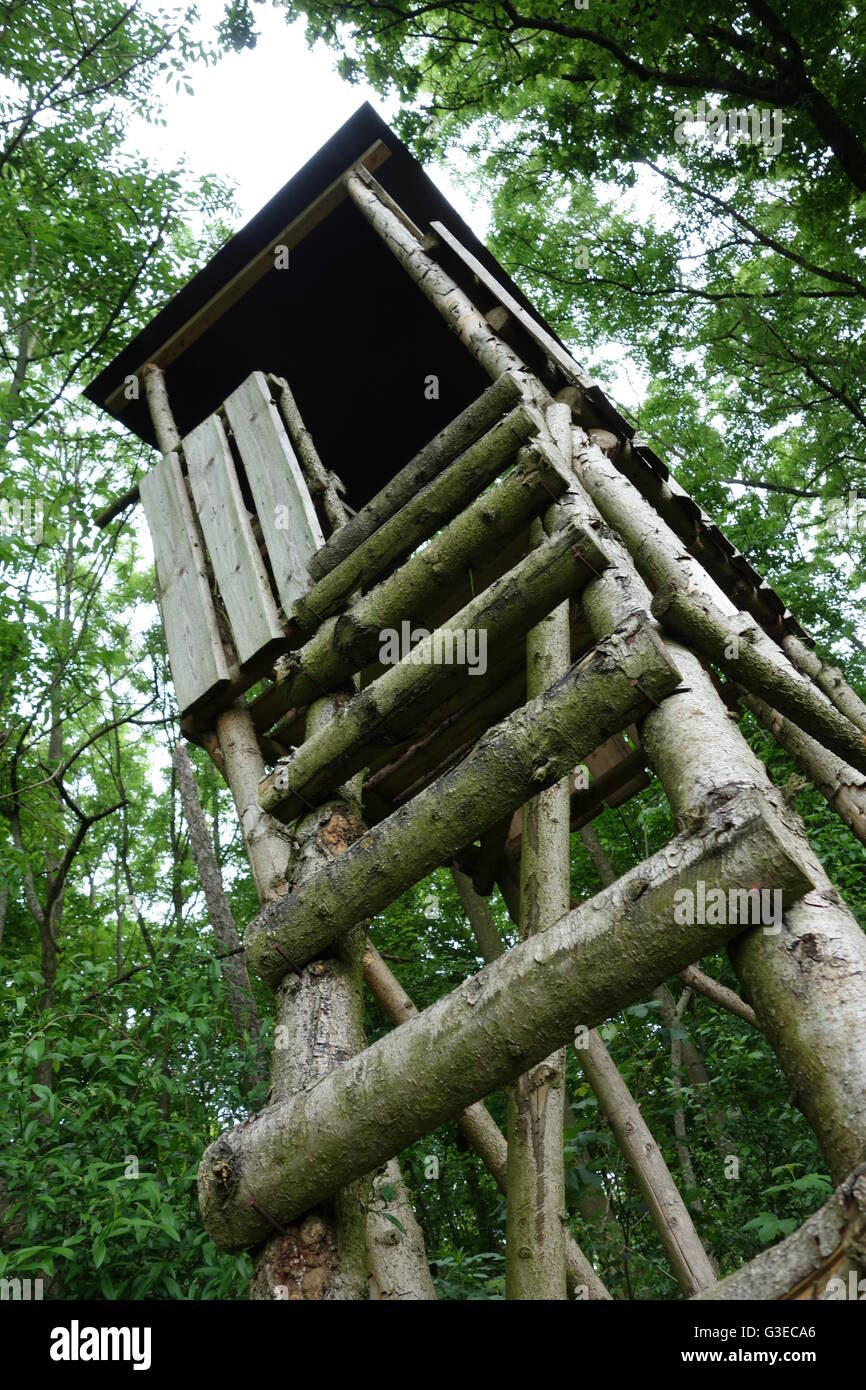 a wooden hide Stock Photo - Alamy