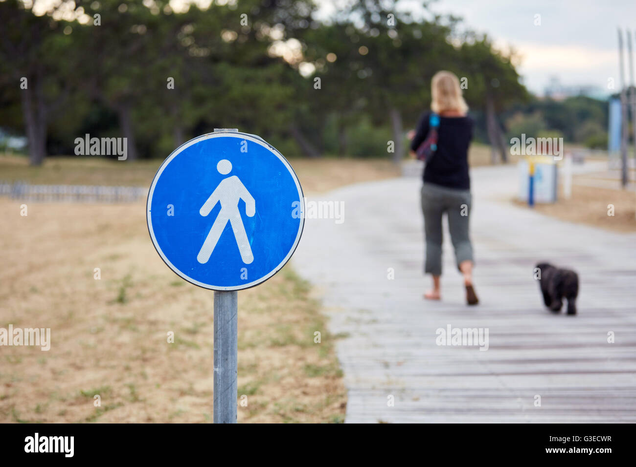 Woman and dog walking on way with blue pedestrian sign Stock Photo - Alamy