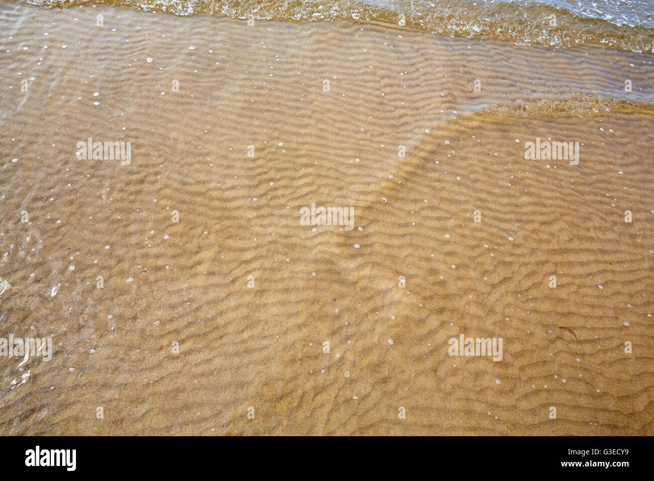 Little ripples in the sand from the sea on the beach Stock Photo - Alamy