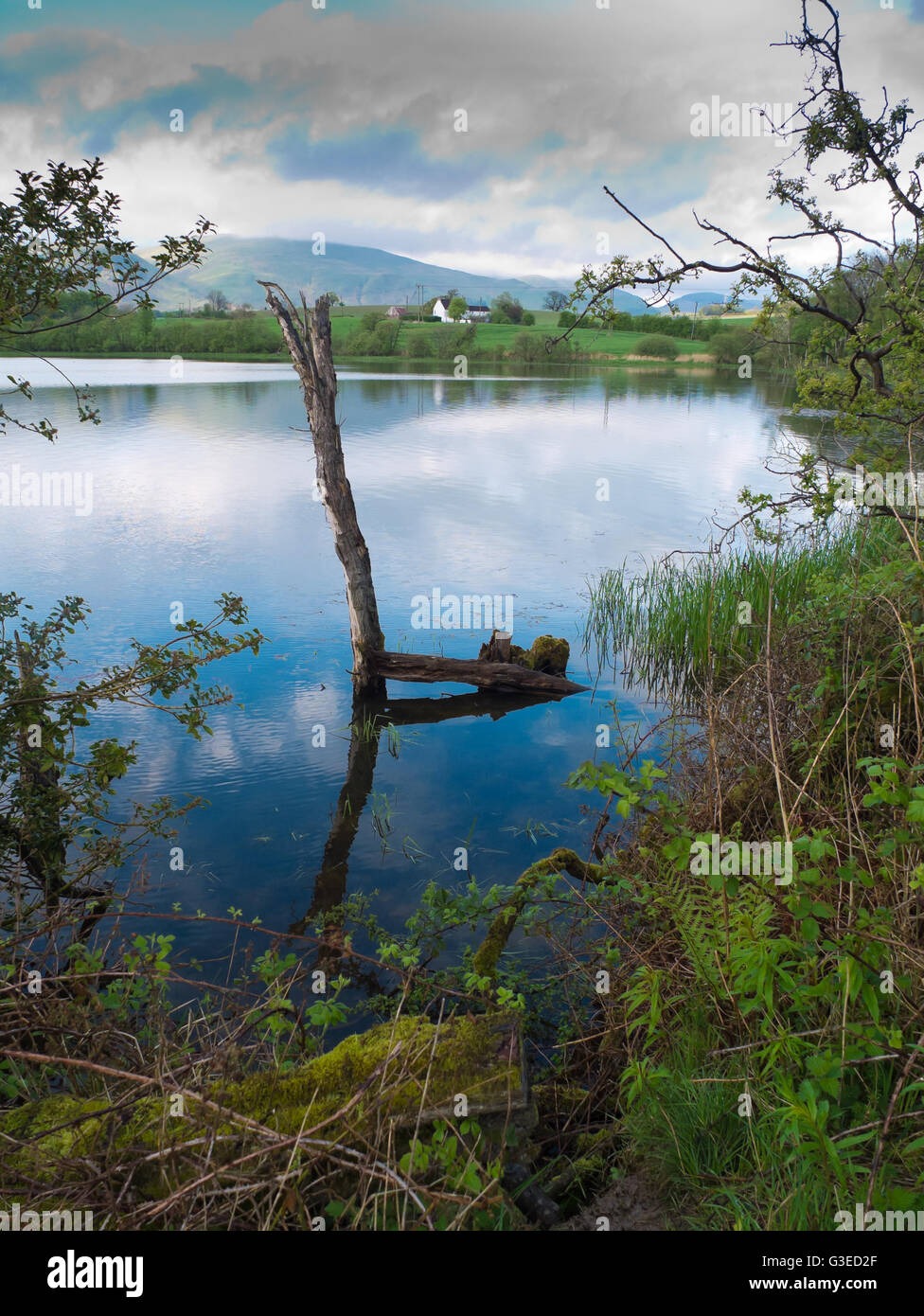 Scottish loch hi-res stock photography and images - Alamy