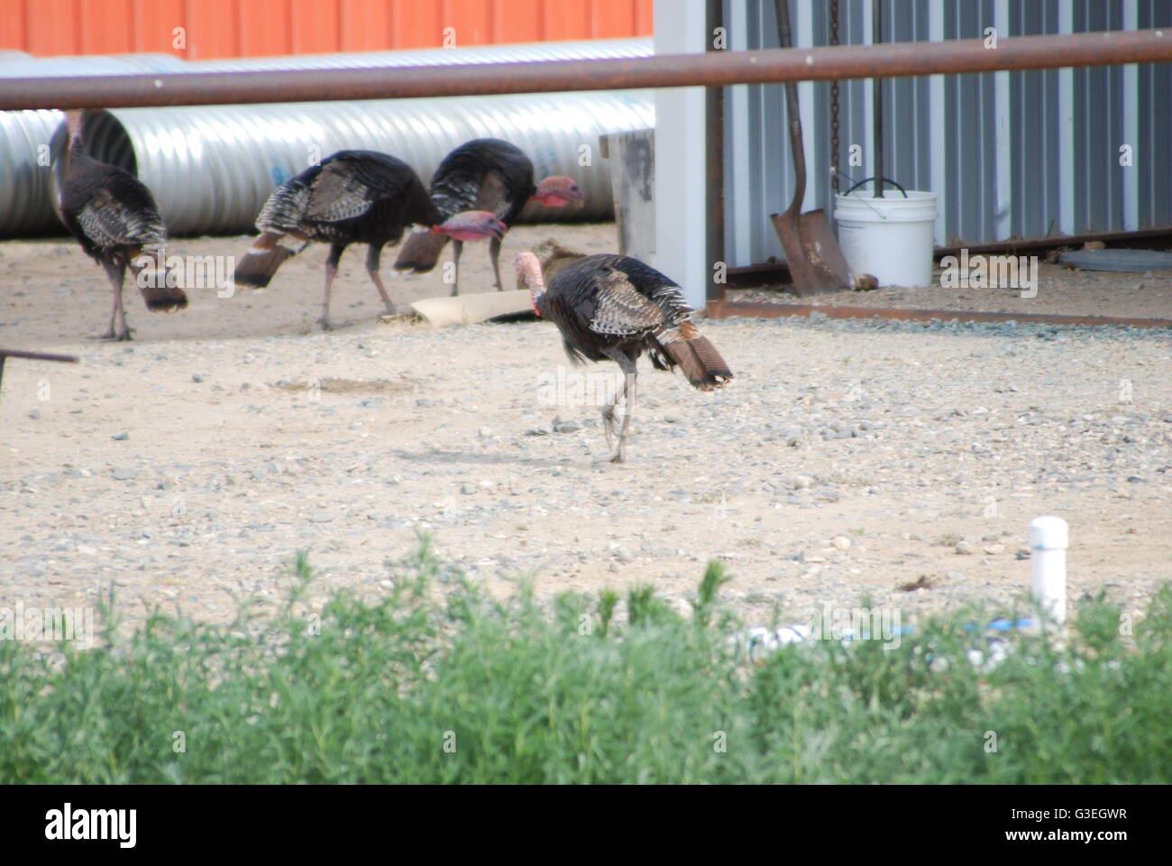 Eying hi-res stock photography and images - Alamy