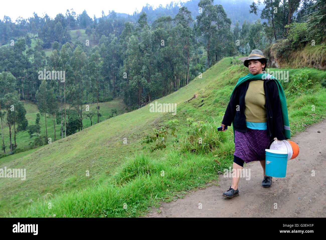 Transporting milk in Pulun " Las Huaringas " - HUANCABAMBA.. Department ...