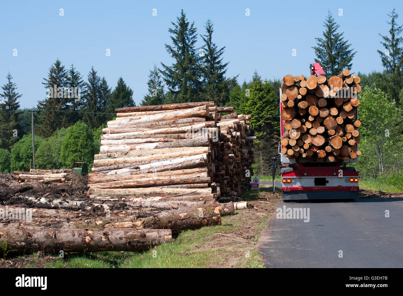 Logging transport logs loading hi-res stock photography and images - Alamy