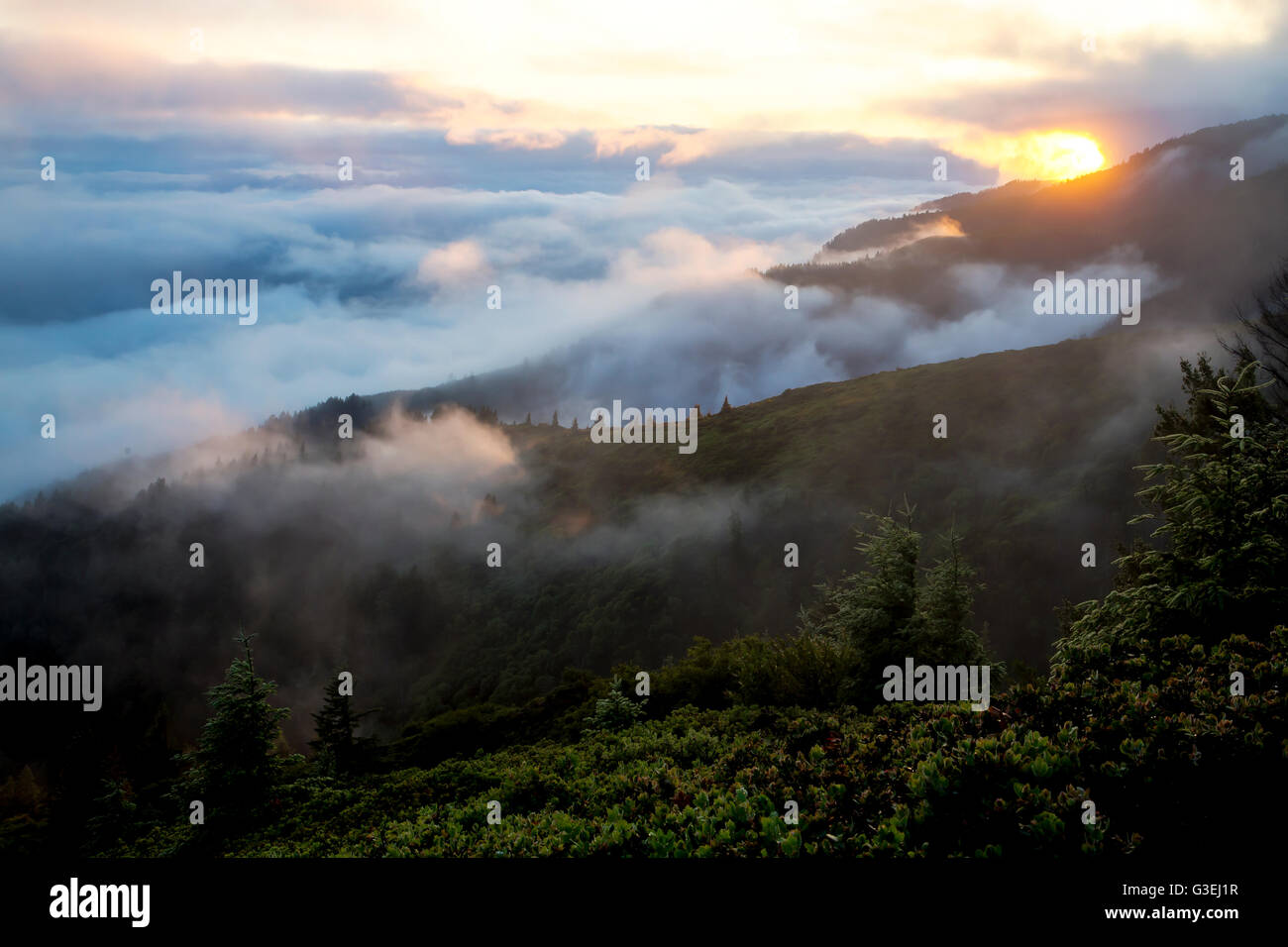 King range national conservation area hi-res stock photography and ...