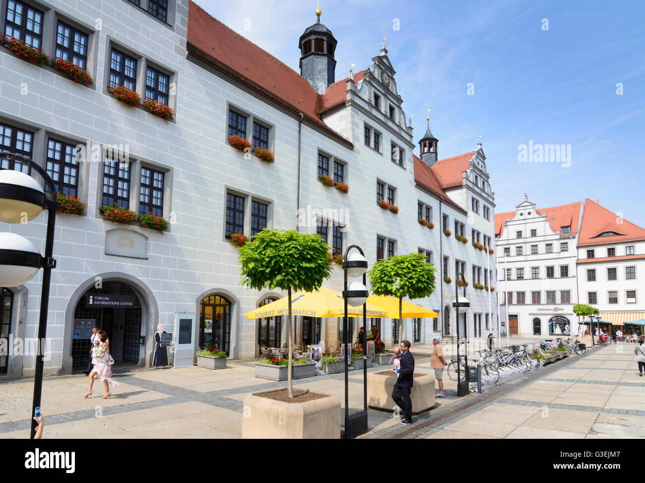Torgau town hall hi-res stock photography and images - Alamy