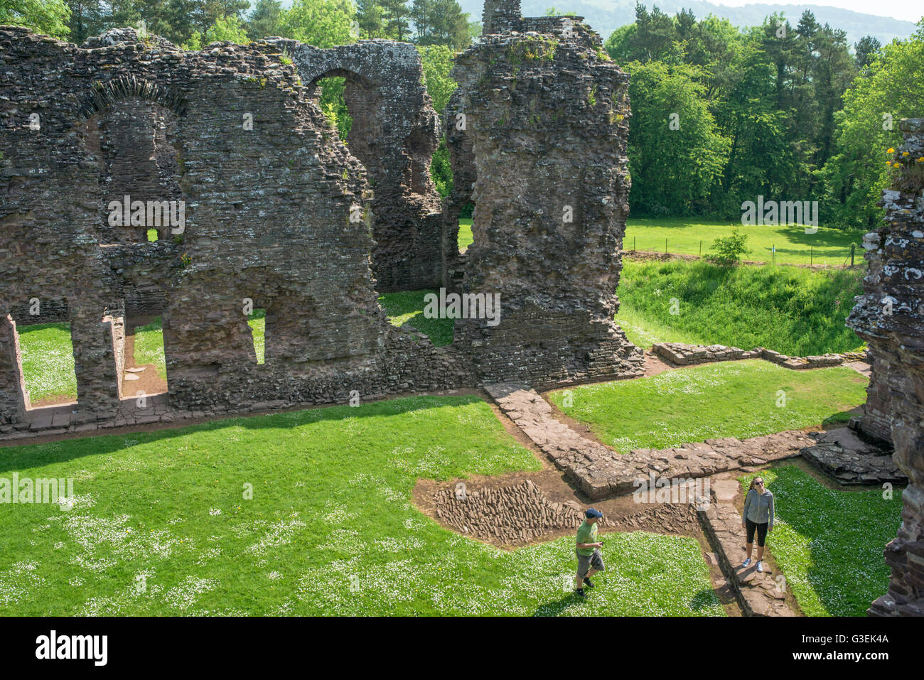 The picturesque ruins of a small castle on a bright summer day Stock ...
