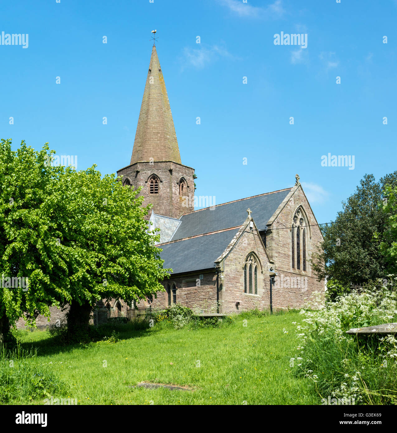 Large country church with spire on a summer day Stock Photo - Alamy