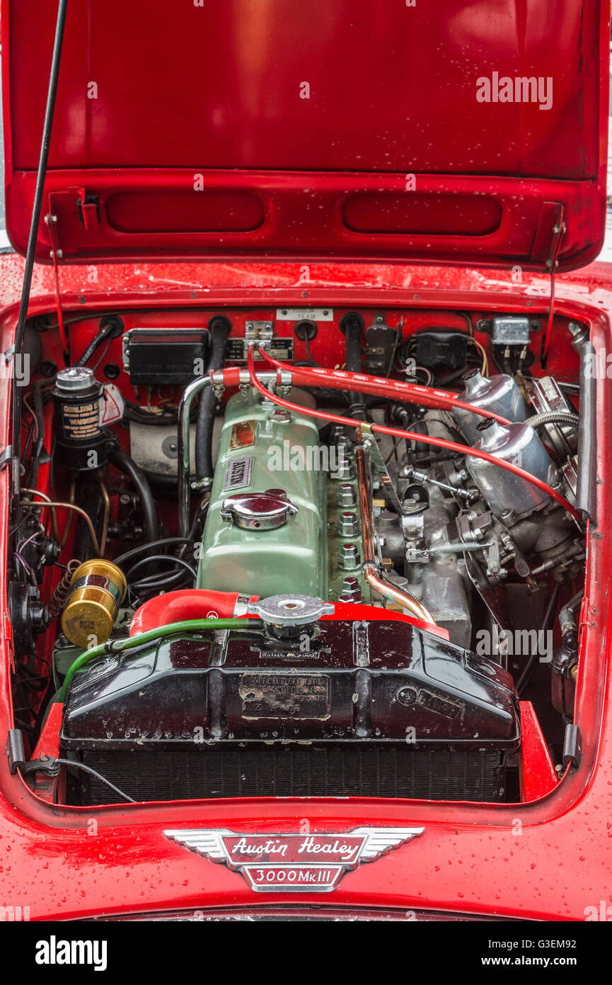 Car portrait of the engine compartment to a 1964 3000litre MK III ...