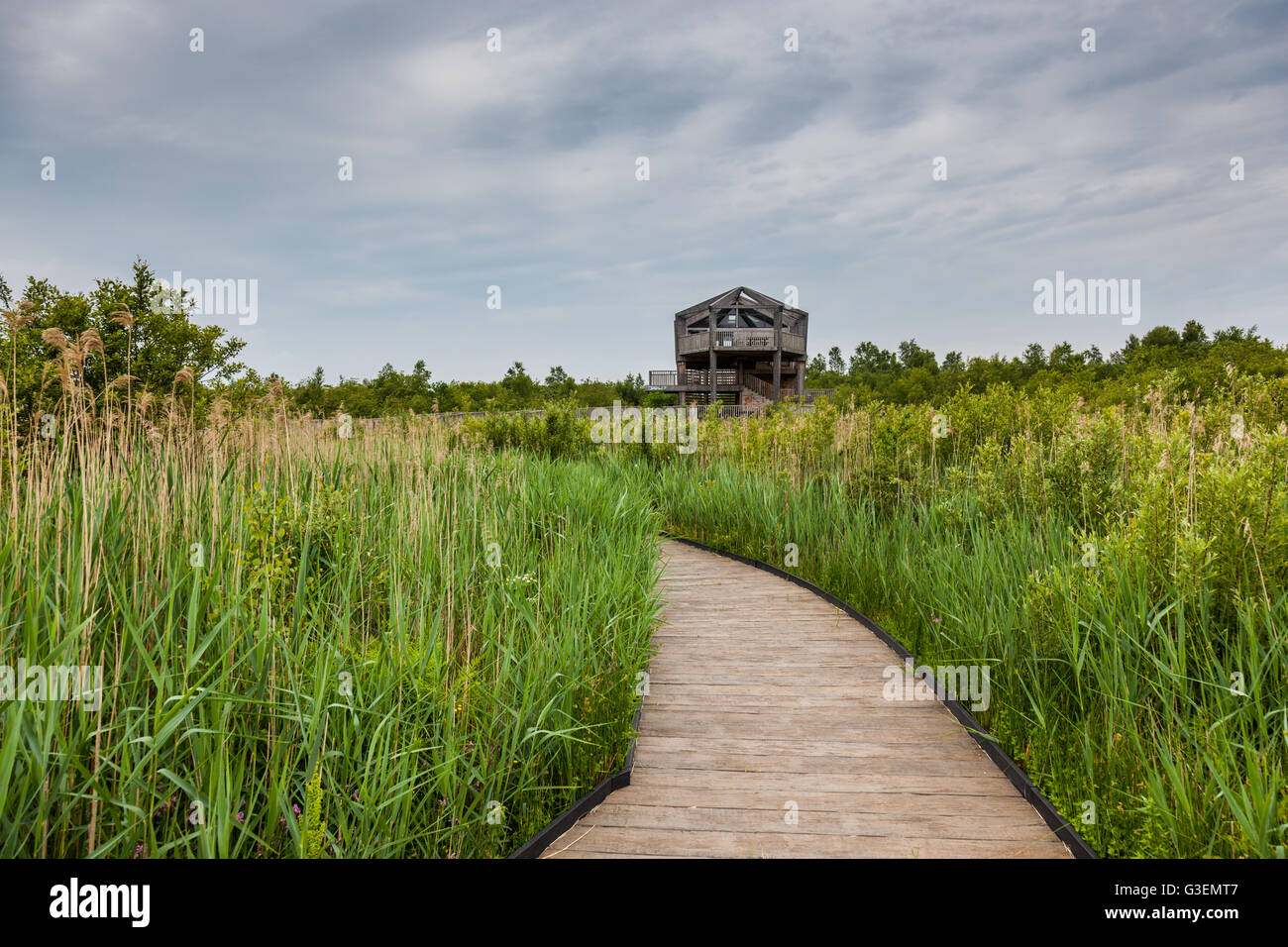 Boardwalk to the 360 Observatory at Cors Dyfi Wildlife Trust, near ...