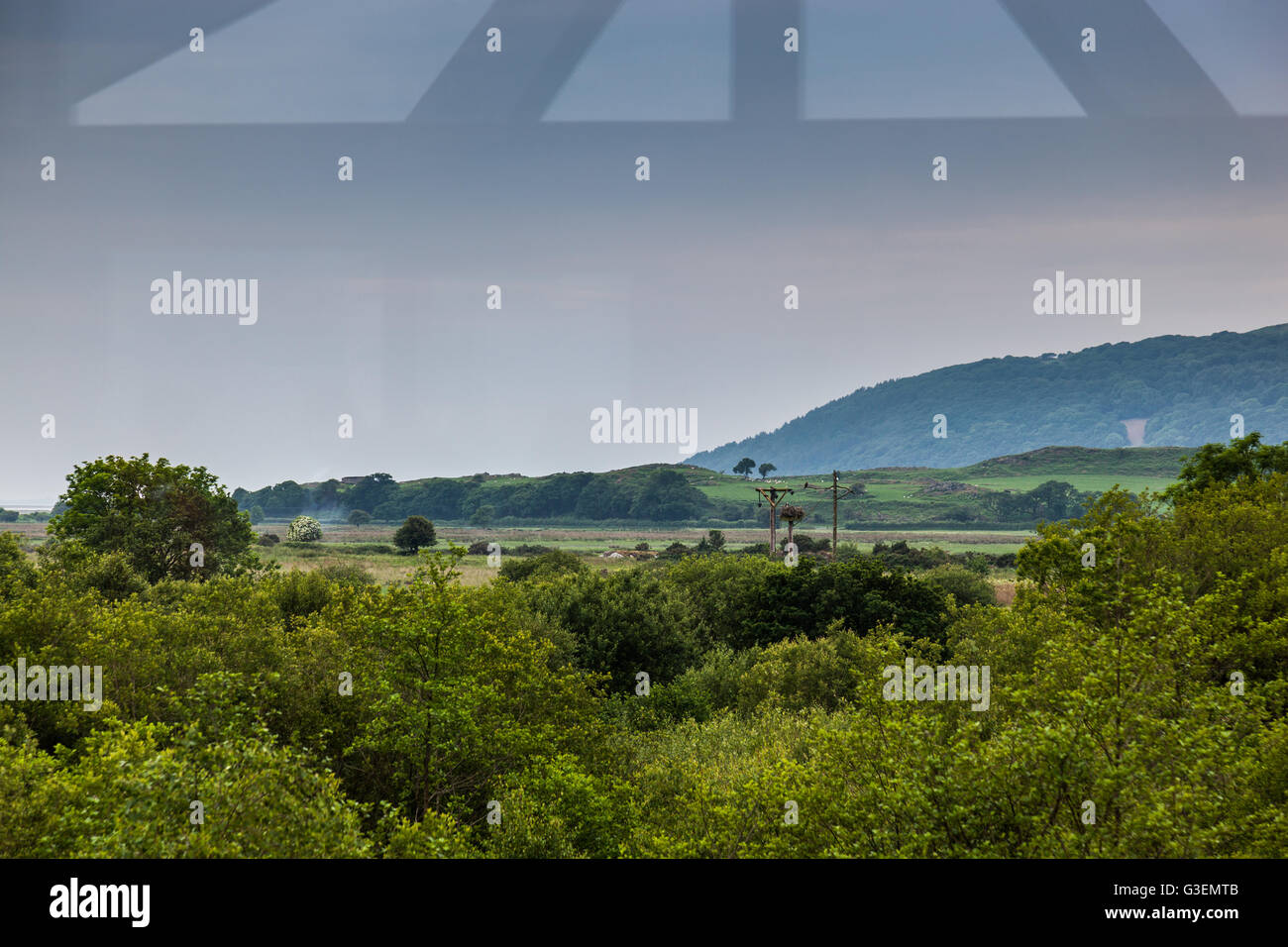 Osprey nests seen from the 360 Observatory at Cors Dyfi Nature Reserve ...