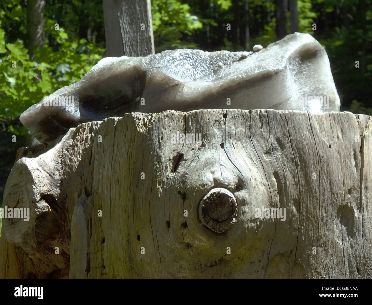 Salt lick block hi-res stock photography and images - Alamy