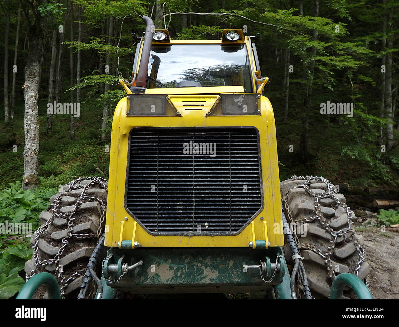 yellow special forestry tractors, Tractor in the woods Stock Photo - Alamy