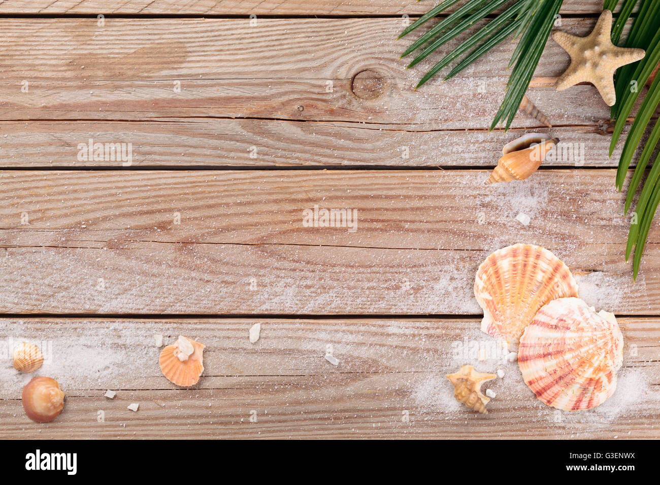 Frame of seashells Stock Photo - Alamy