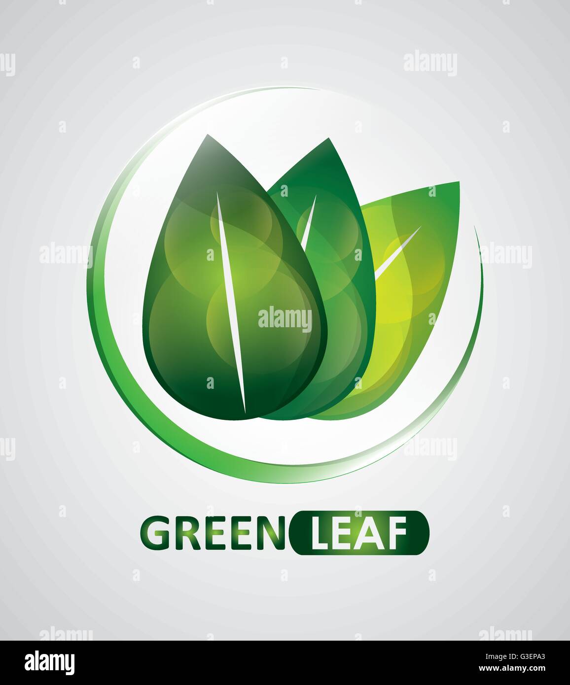 Green design. leaf icon. White background, graphic vector Stock Vector ...