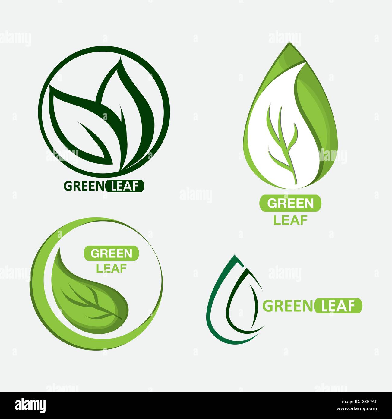 set of green leves design. nature icon. White background, graphic ...