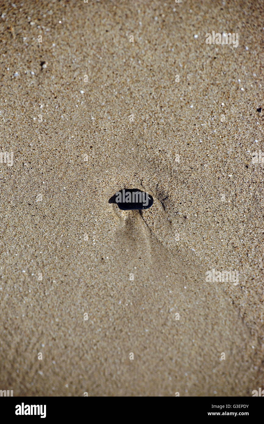 Stranded black pebble Stock Photo - Alamy