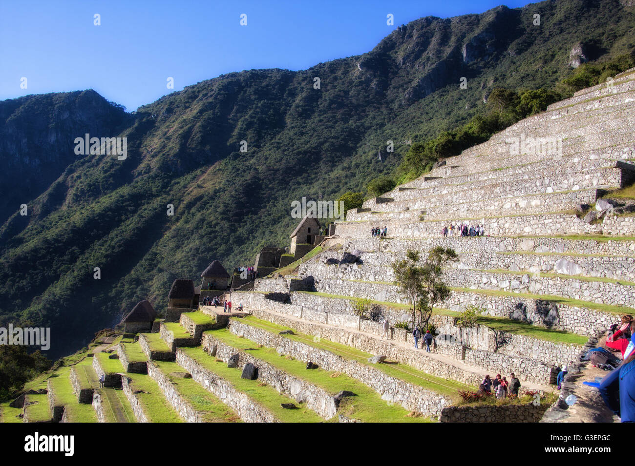 Machu Pichu ruing Stock Photo - Alamy