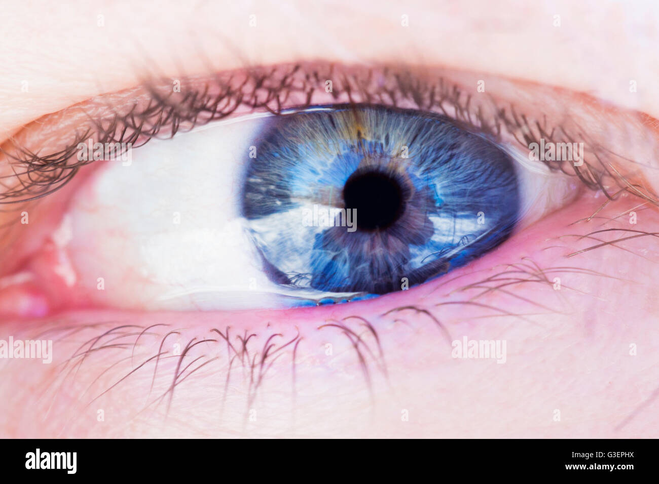 Macro photography of Human blue eye Stock Photo - Alamy