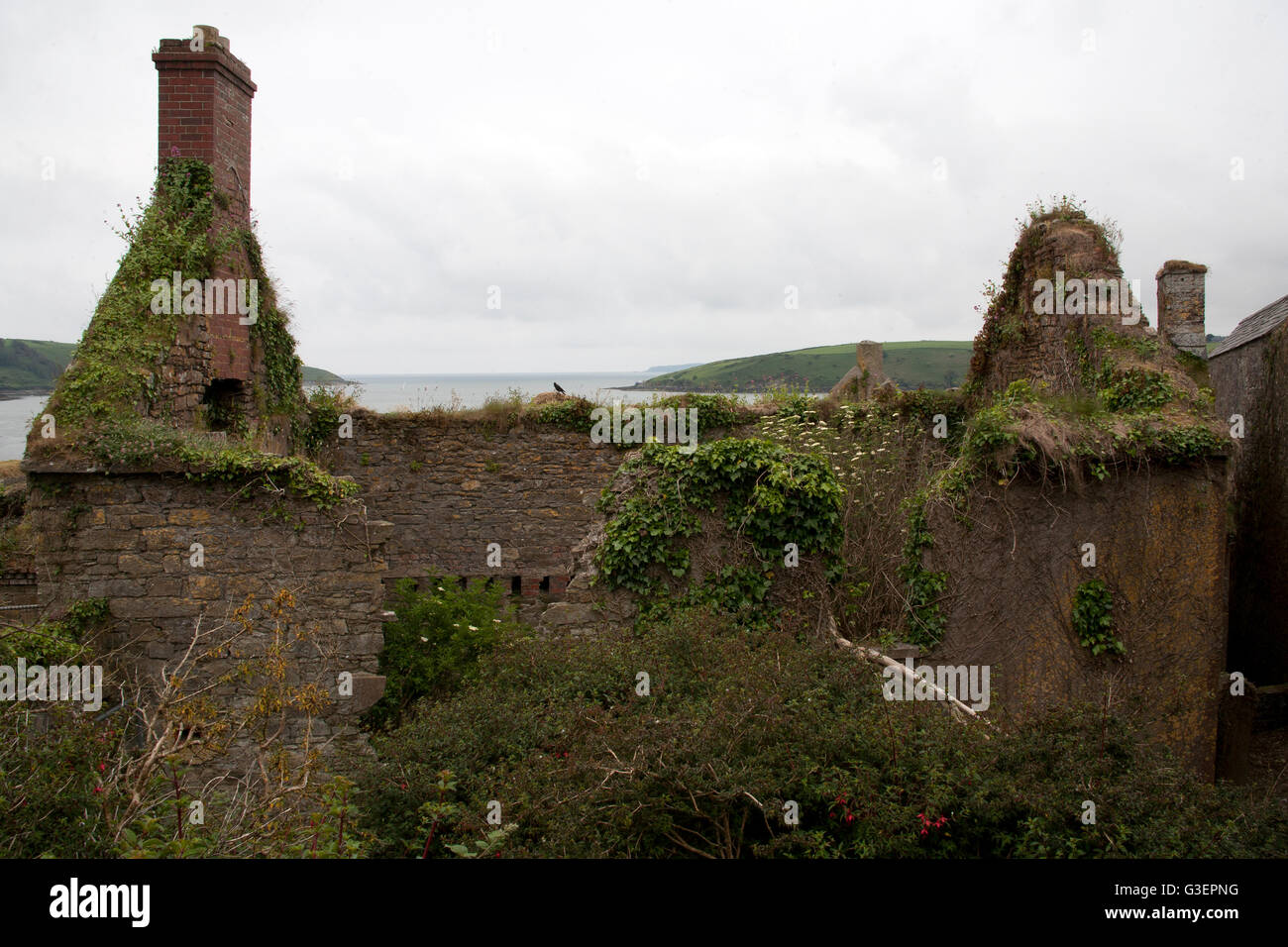 Ivy covered ruins of the British Army barracks Charles Fort Summer Cove ...