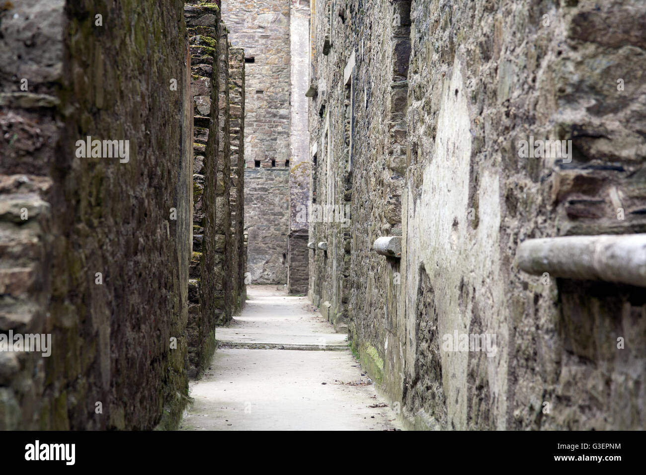 Ruins of the British Army barracks Charles Fort Summer Cove, Kinsale ...