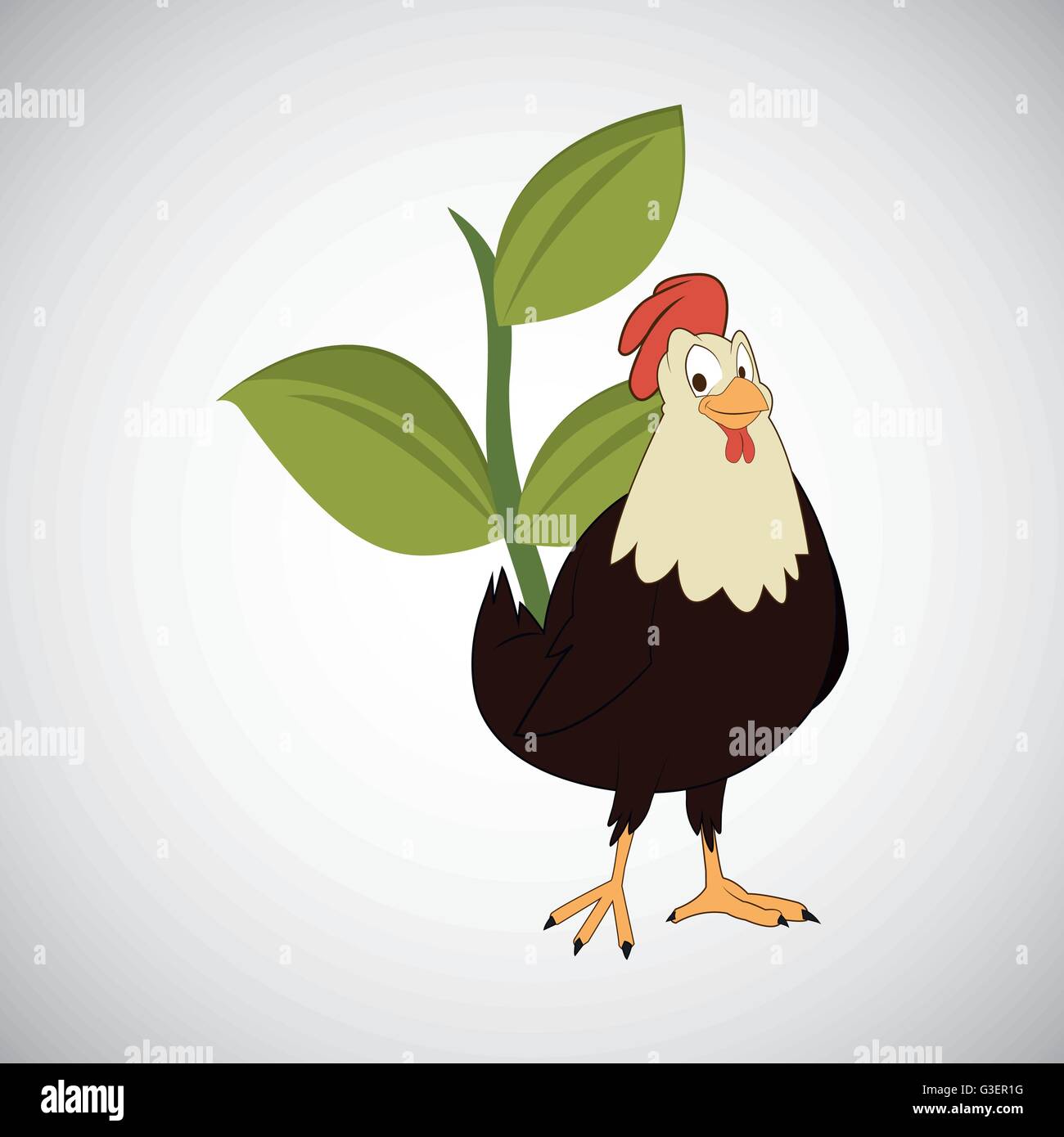 Animal design. rooster icon. Isolated illustration, white backgr Stock ...