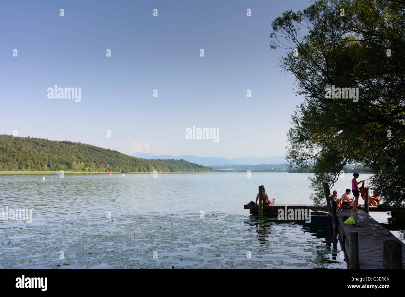 lake Tachinger See and View to the Alps, Germany, Bayern, Bavaria ...