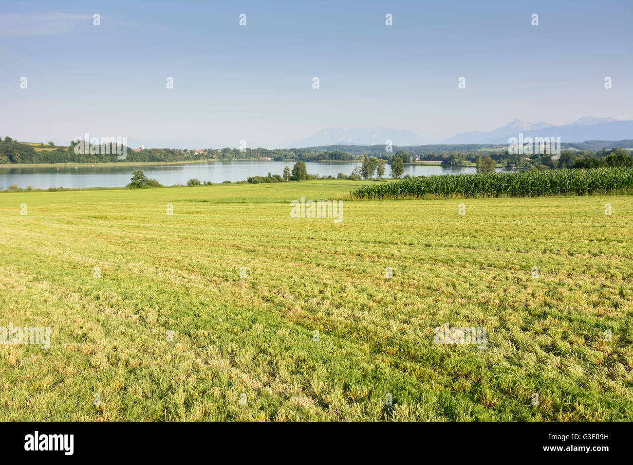 lake Tachinger See and View to the Alps, Germany, Bayern, Bavaria ...