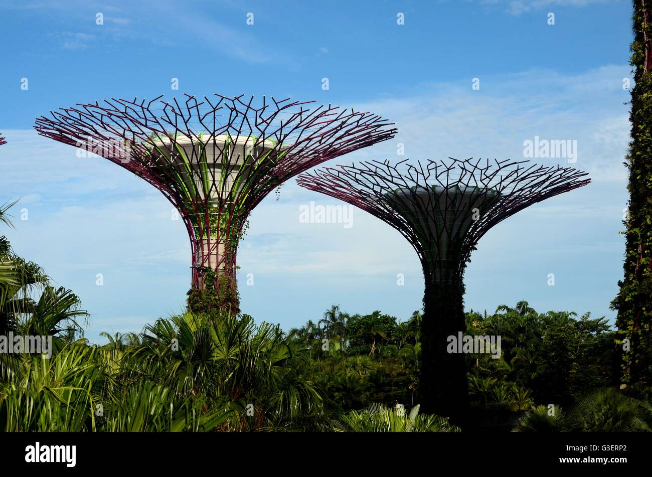 View of two artificial Supertrees at Gardens by the Bay Singapore Stock ...