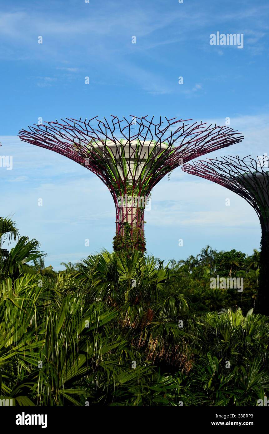 View of two artificial Supertrees at Gardens by the Bay Singapore Stock ...