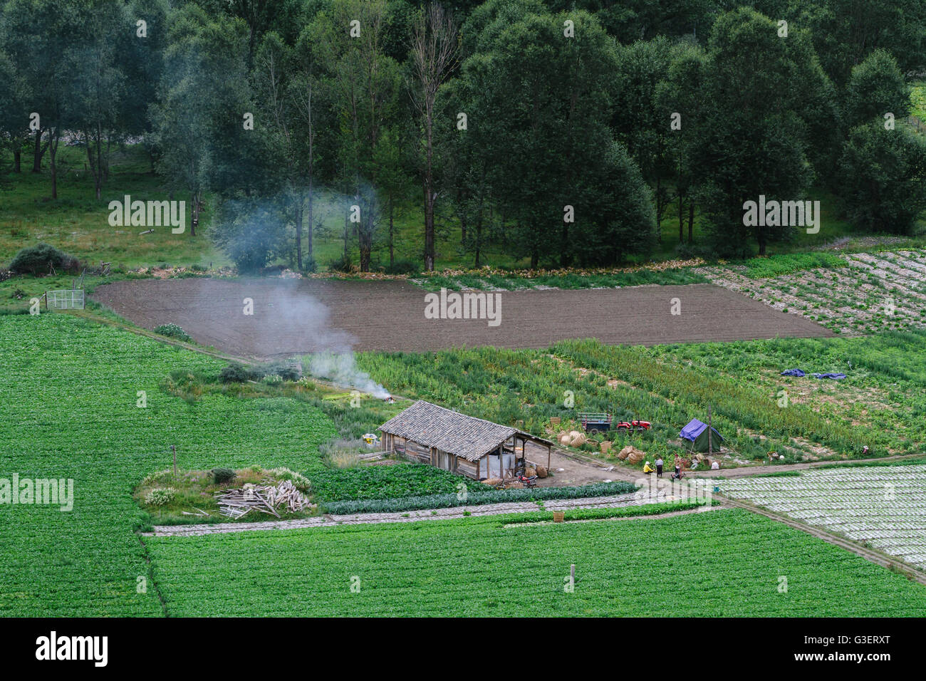 Xinduqiao, Sichuan province, China - the beautiful farmland view with ...