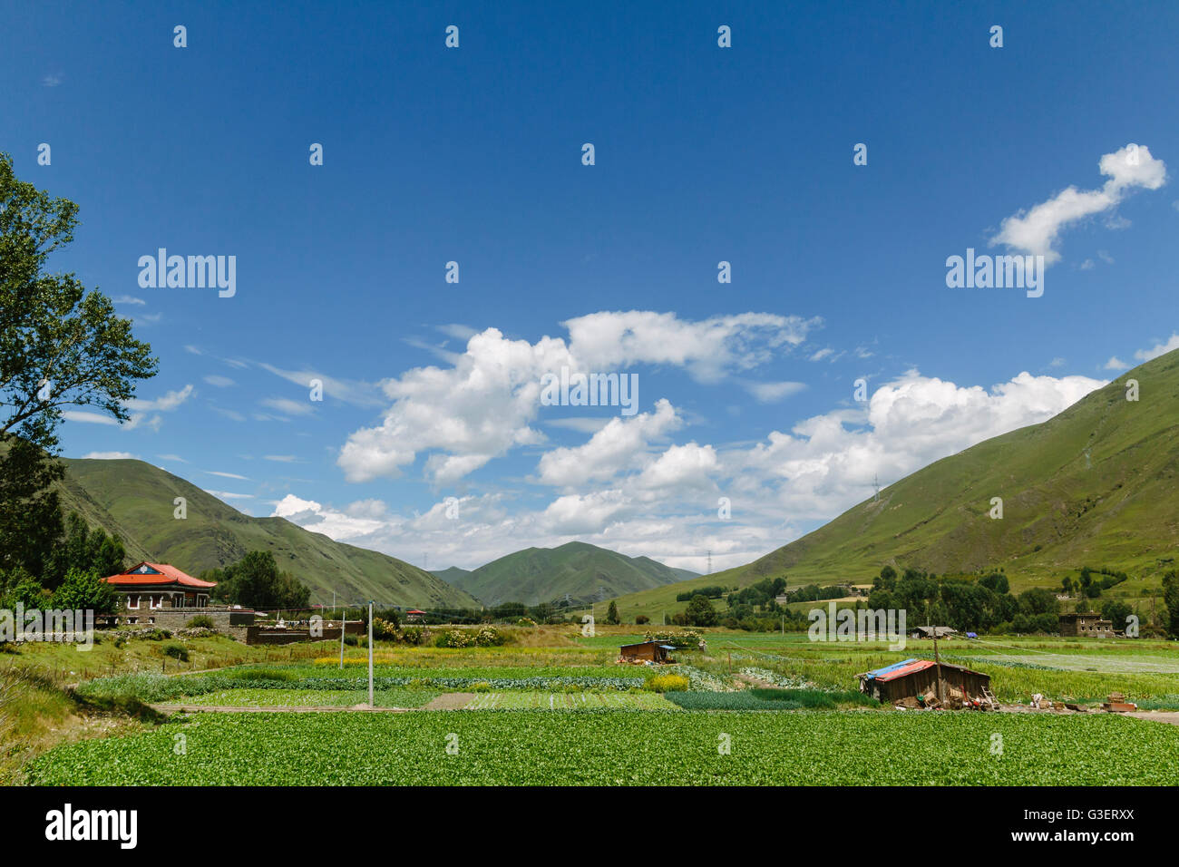 Xinduqiao, Sichuan province, China - the beautiful farmland view with ...