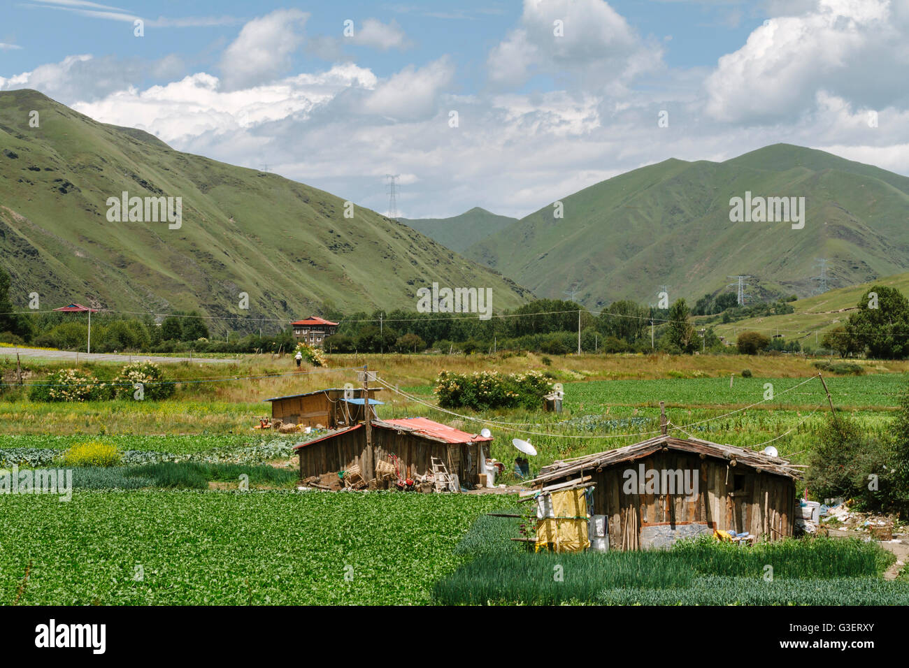 Xinduqiao, Sichuan province, China - the beautiful farmland view with ...