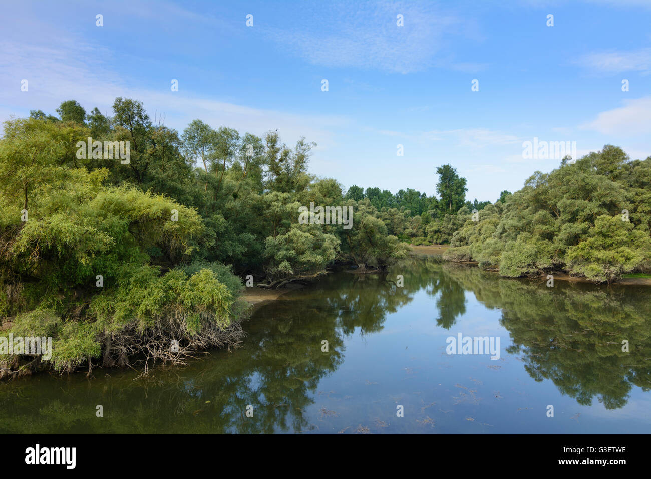 Rhine wetlands, Germany, Baden-Württemberg, Schwarzwald, Black Forest ...