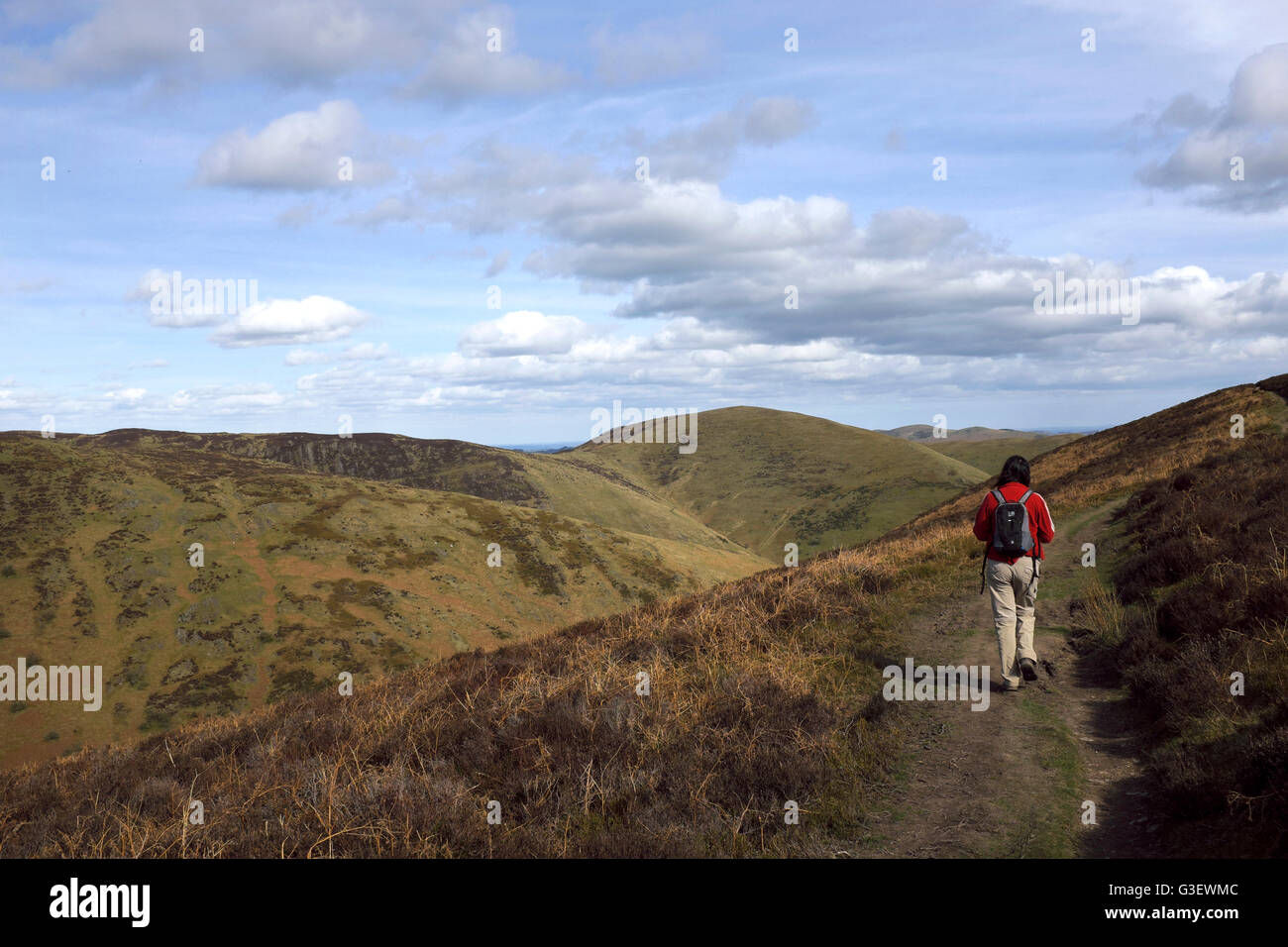 Hiker on the Long Mynd, Shropshire, England, UK Stock Photo - Alamy