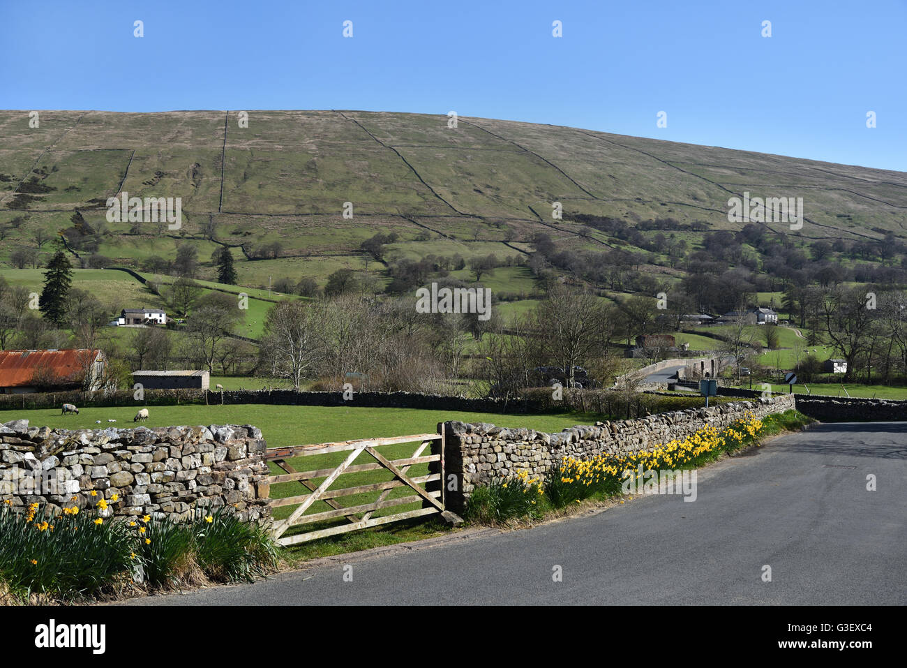 Dentdale in Springtime, Yorkshire Dales National Park, Cumbria, England ...