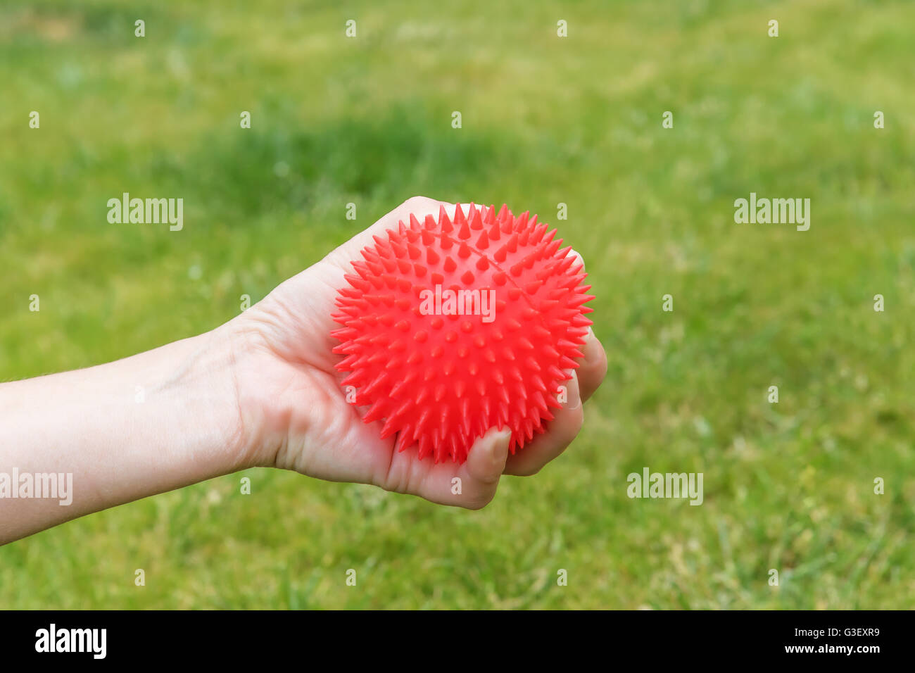Female hand is holding a red spiky relaxing ball outdoors Stock Photo ...