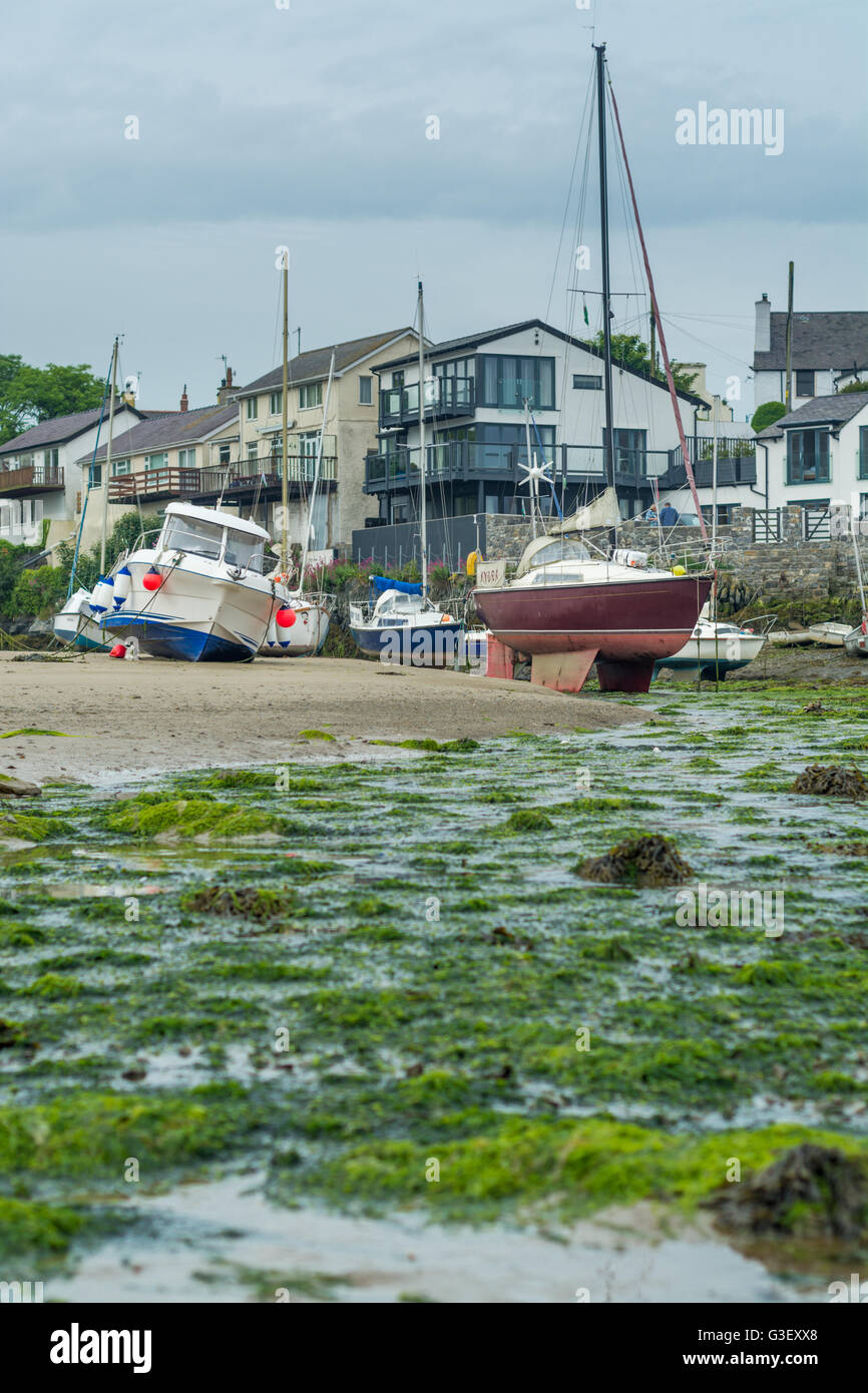 Boats in the Harbour at Cemaes Bay, Anglesey Stock Photo - Alamy