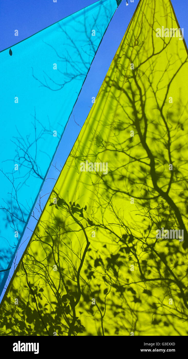 Branch branches colors hi-res stock photography and images - Alamy