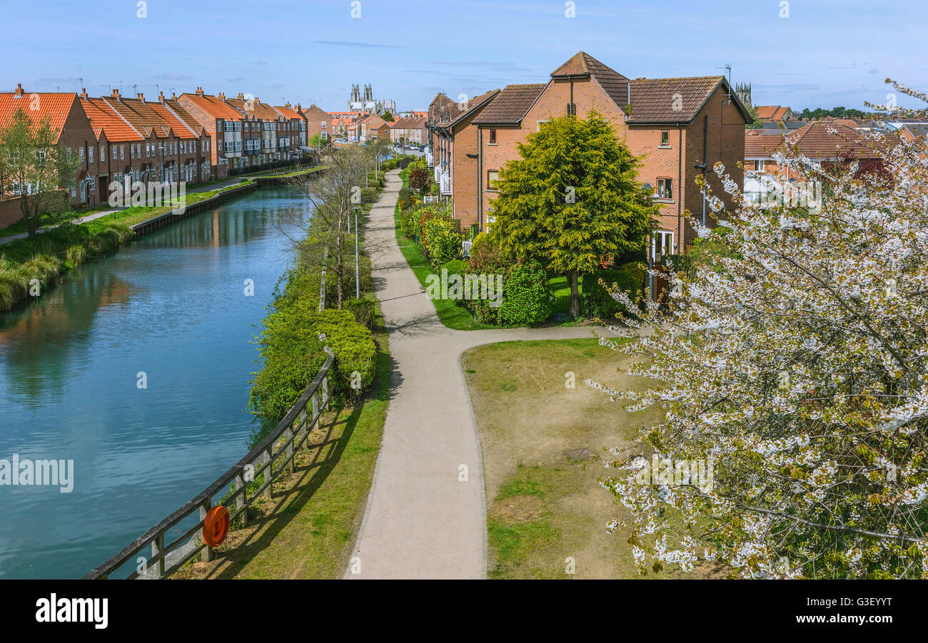 Beverley blooms hi-res stock photography and images - Alamy